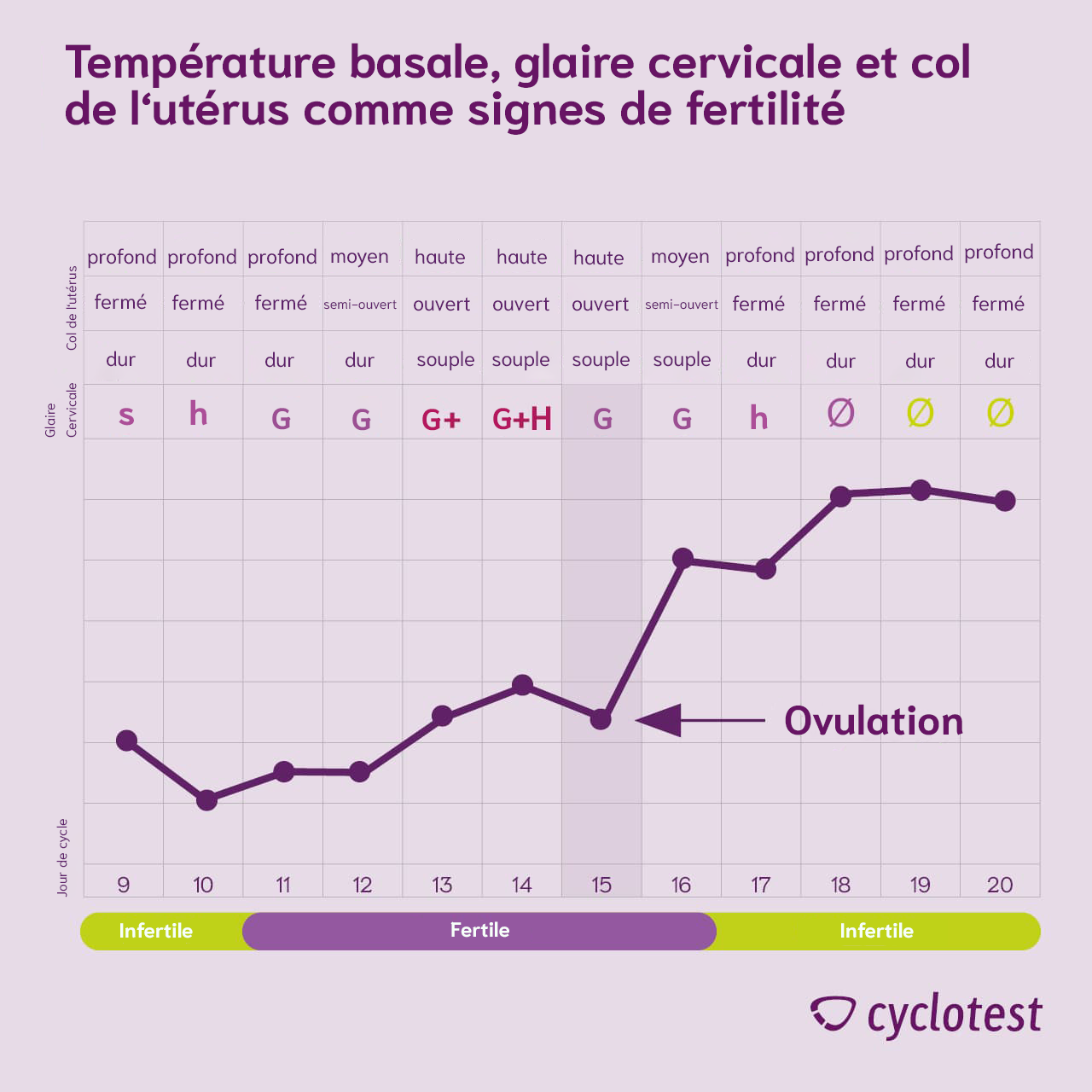 Méthode symptothermique | Cyclotest